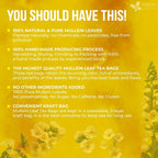 soothing mullein leaf herbal infusion