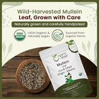 soothing mullein leaf tea benefits