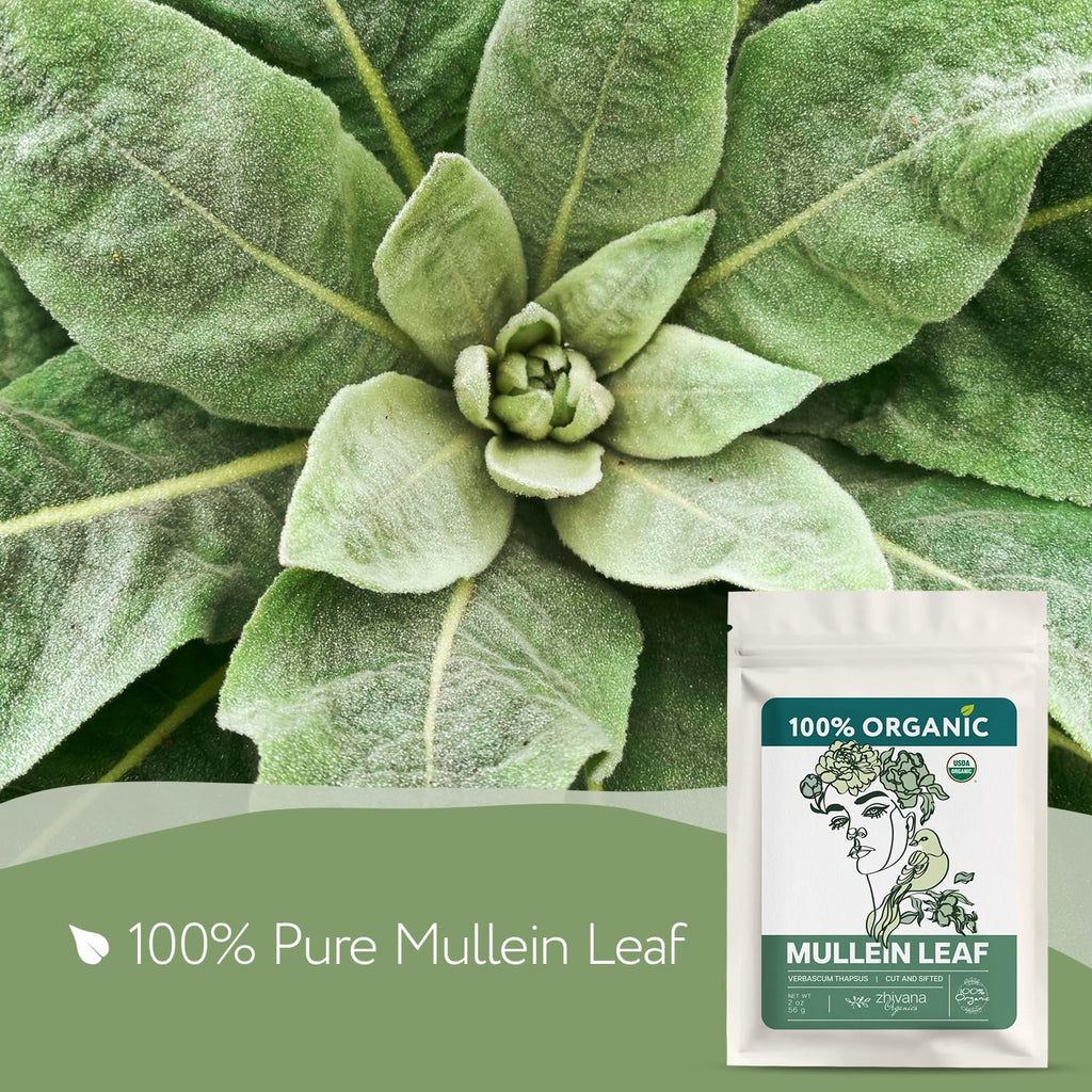 soothing mullein leaf tea experience