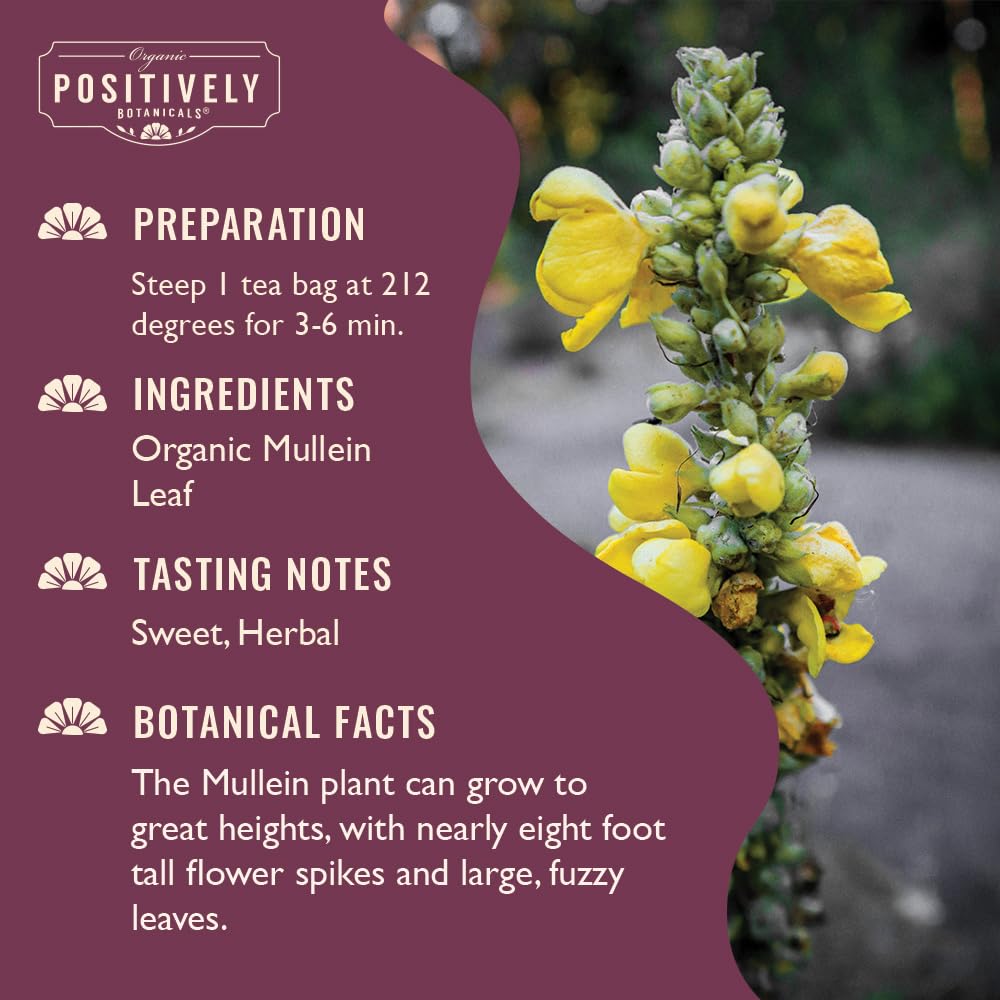 soothing mullein tea for wellness