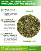 soothing nettle leaf tea benefits