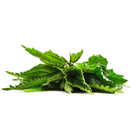 soothing nettle tea for relaxation