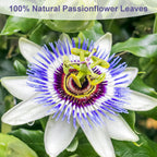 soothing passion flower tea for relaxation