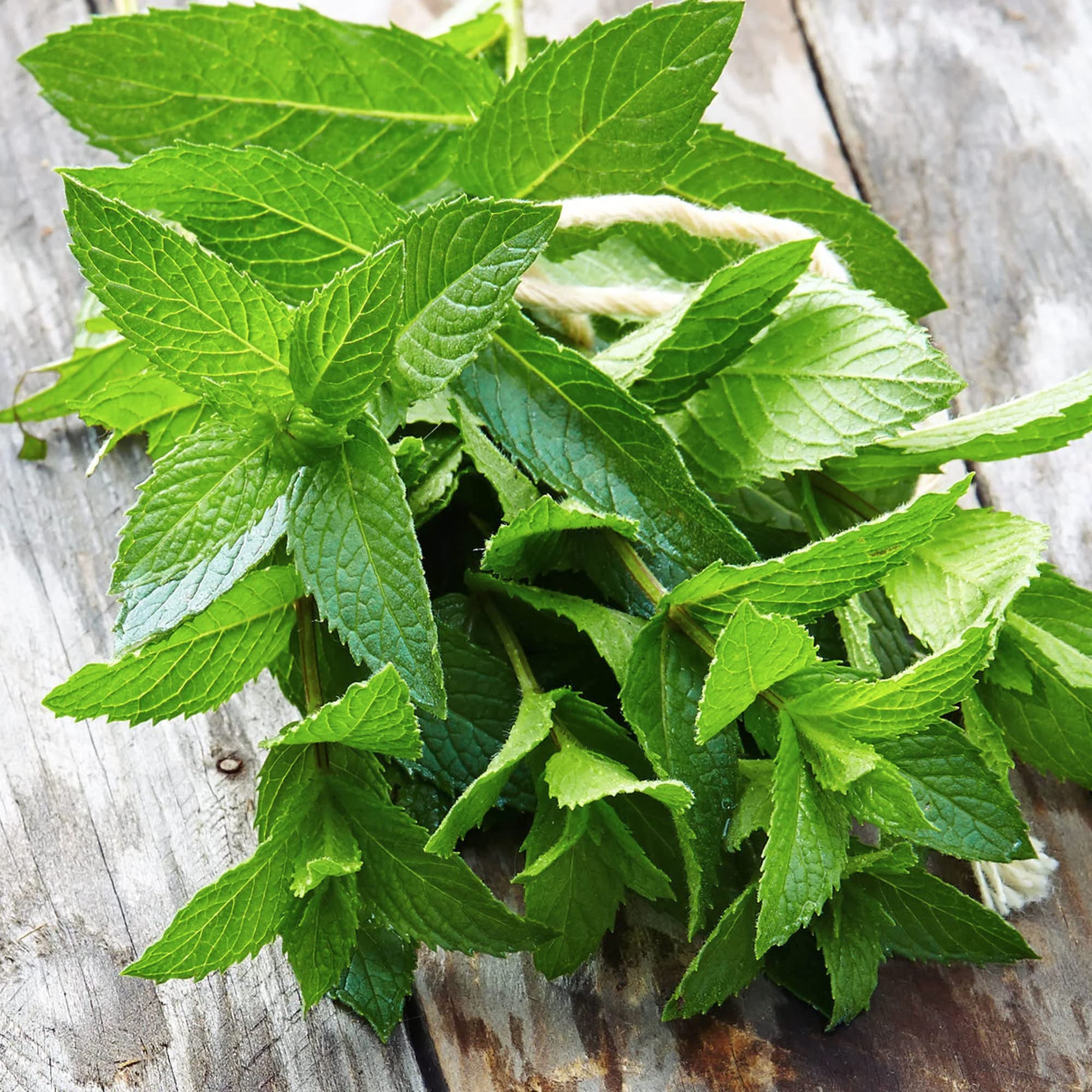 soothing peppermint milk thistle tea