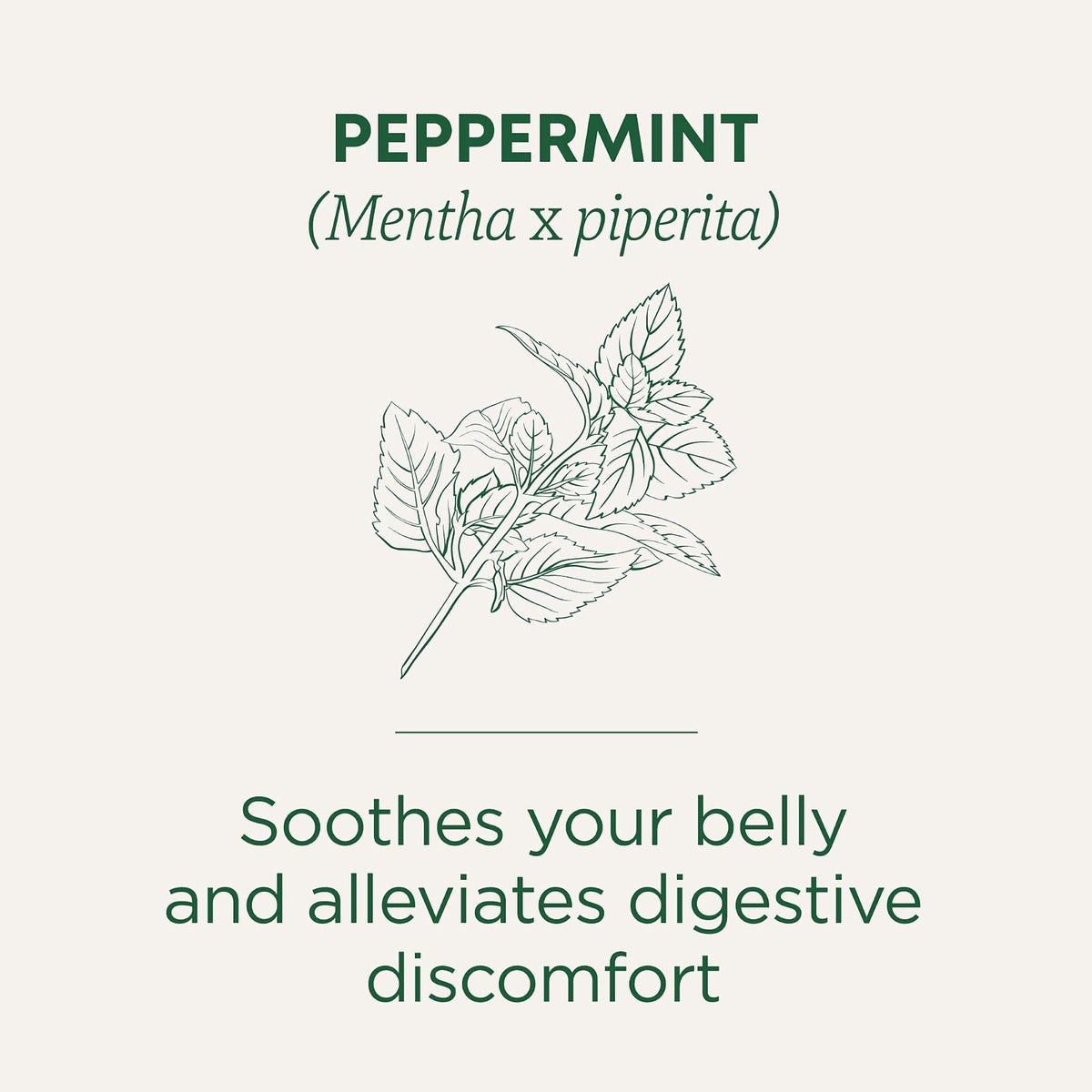 soothing peppermint tea for cold relief