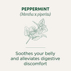 soothing peppermint tea for digestion