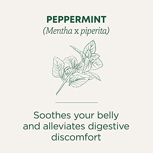 soothing peppermint tea for digestion