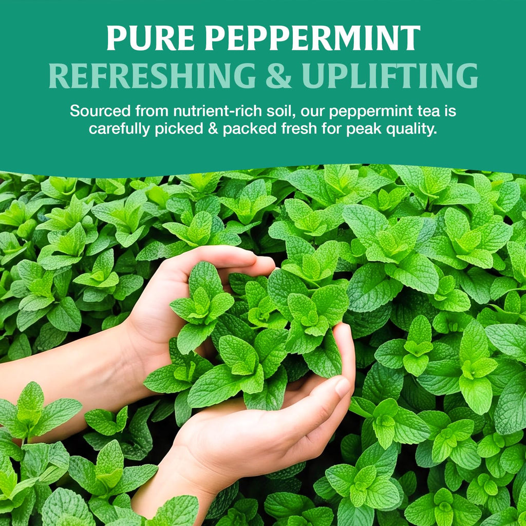 soothing peppermint tea for digestion