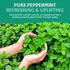 soothing peppermint tea for digestion