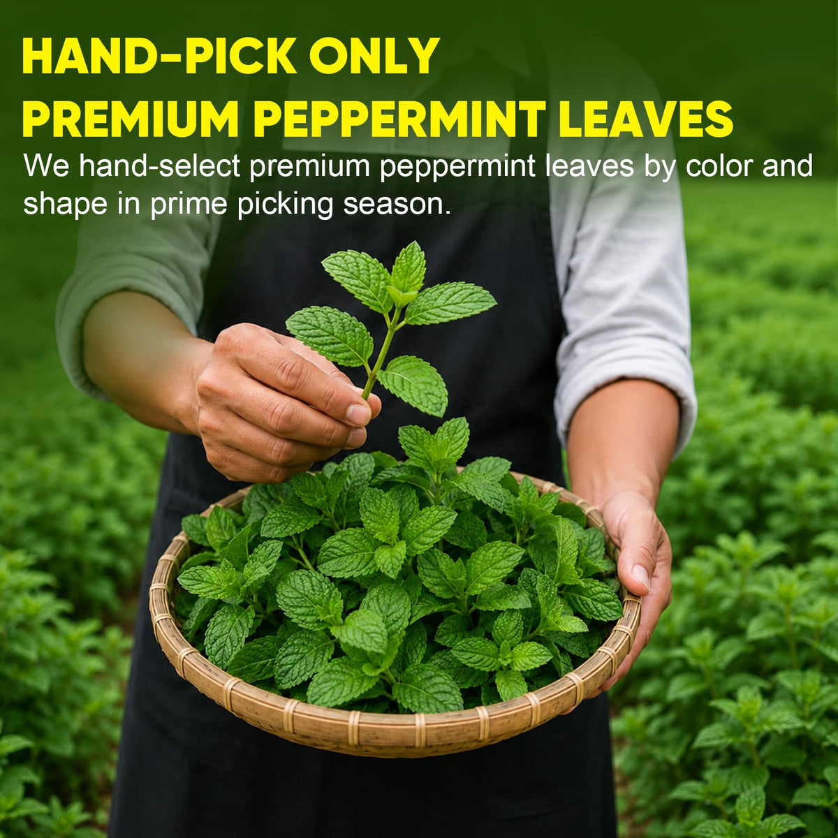 soothing peppermint tea for relaxation