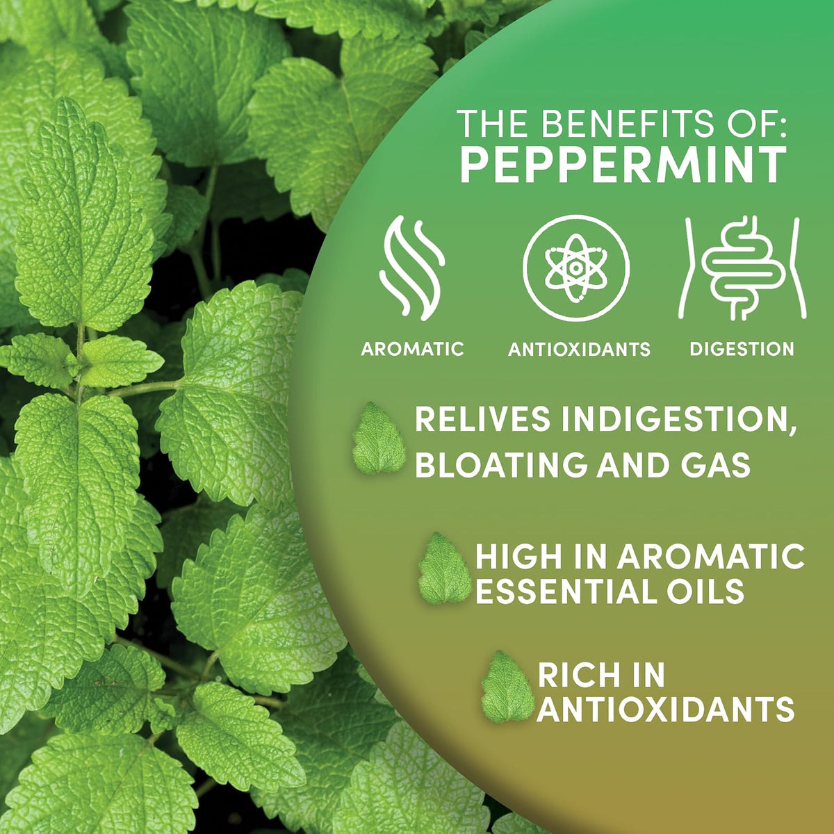 soothing peppermint tea for relaxation