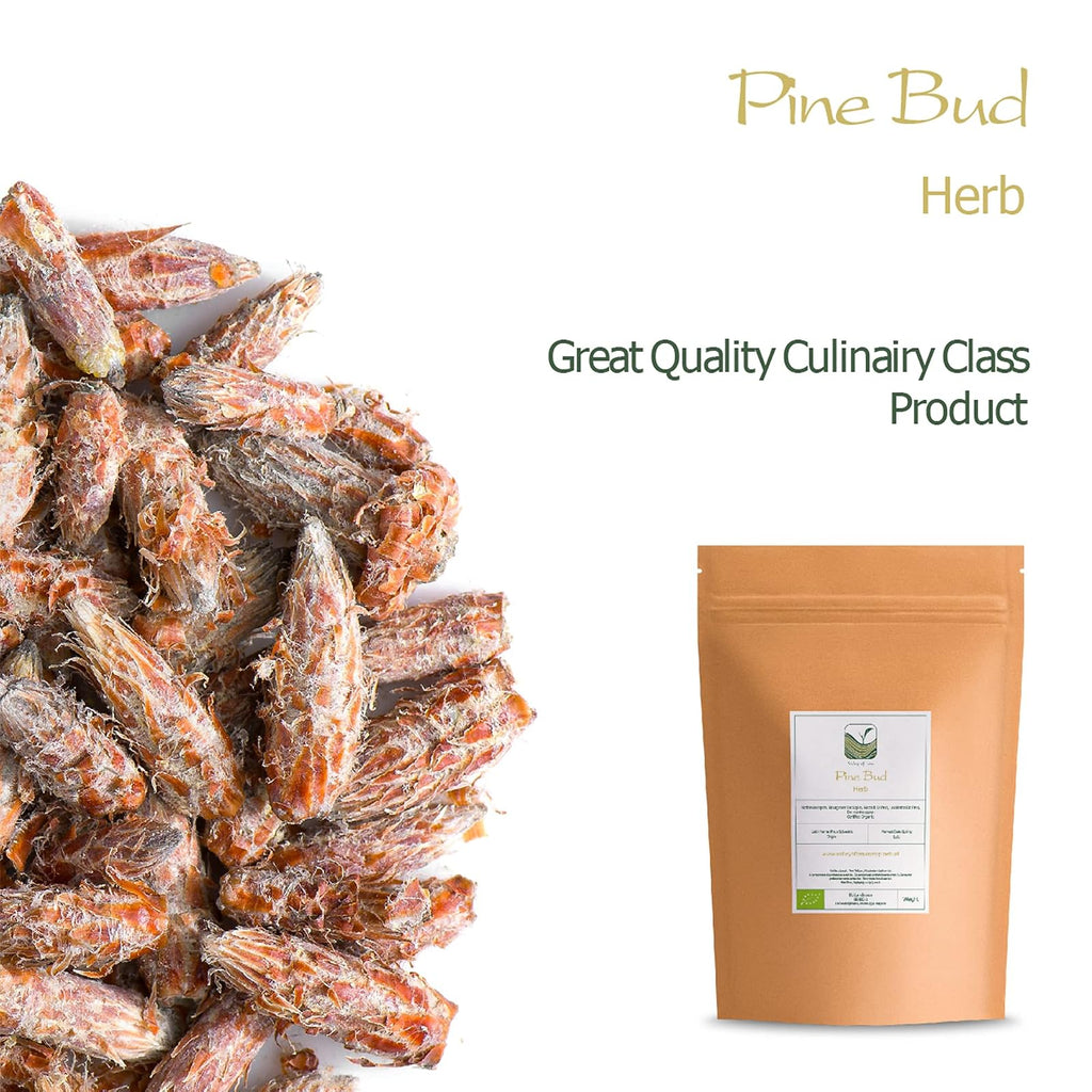 soothing pine bud herbal infusion
