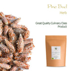 soothing pine bud herbal infusion