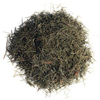soothing pine needle herbal infusion