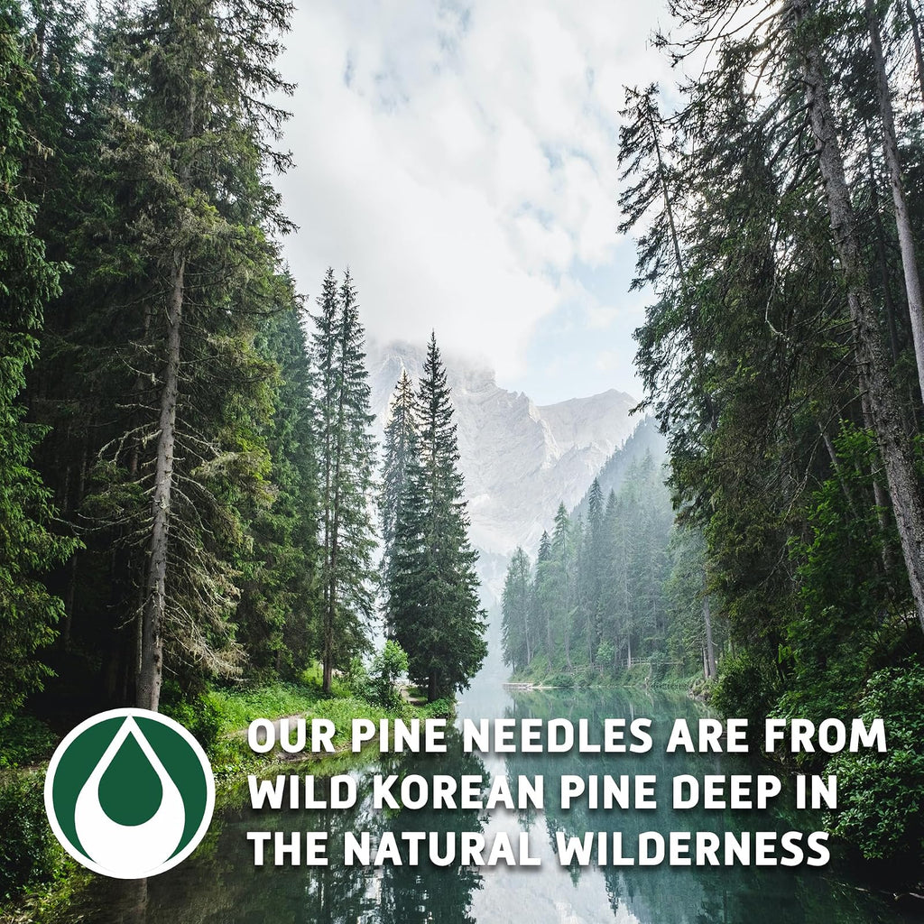 soothing pine needle infusion