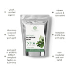 soothing plantain leaf herbal infusion