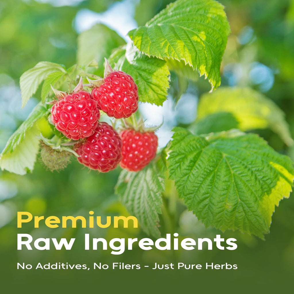 soothing raspberry leaf tea for relaxation