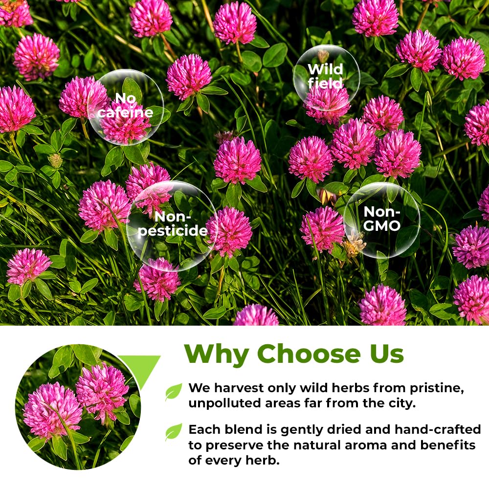 soothing red clover tea experience