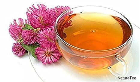 soothing red clover tea infusion