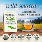 soothing red raspberry leaf infusion