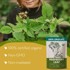 soothing red raspberry leaf infusion