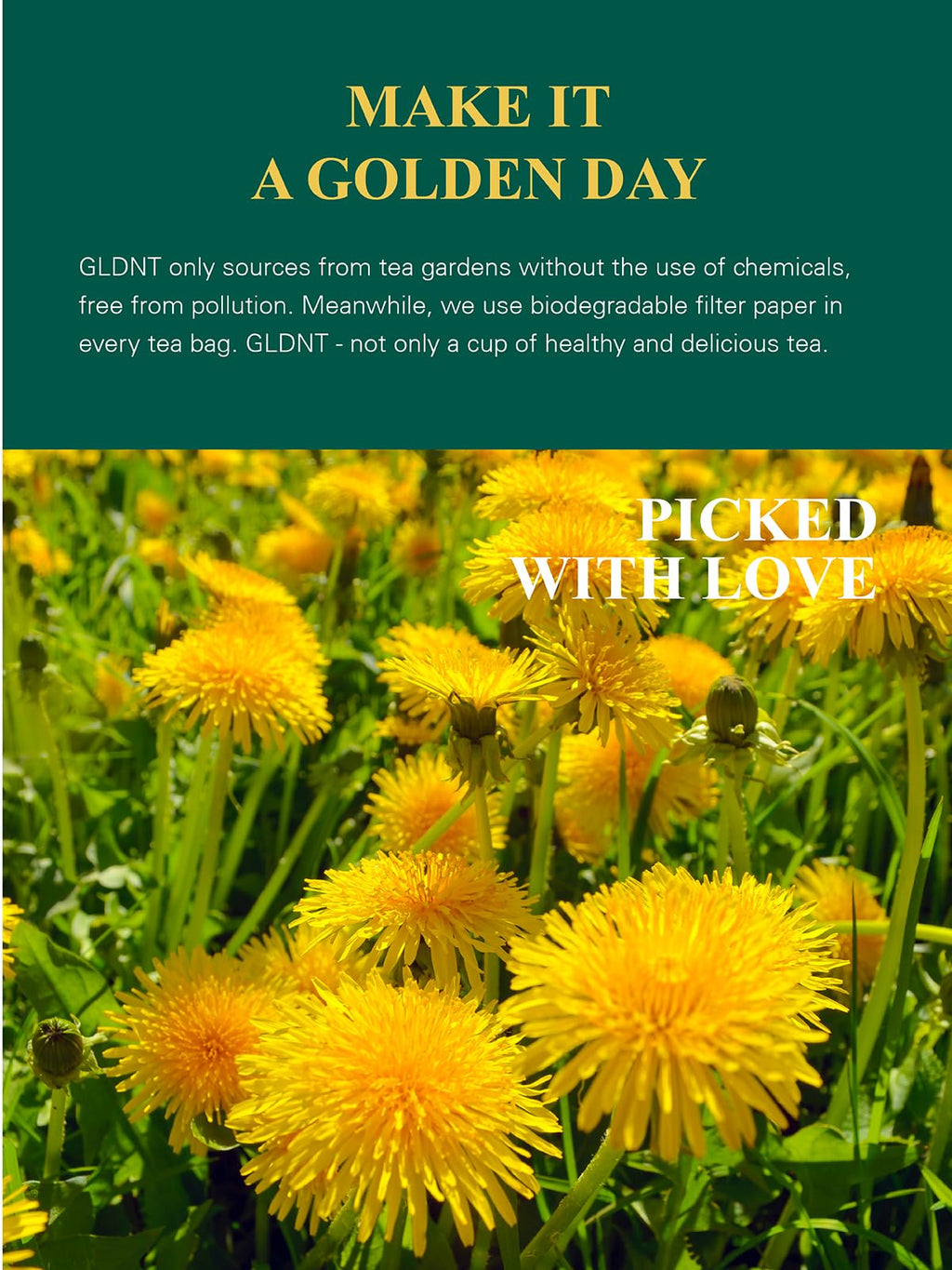 soothing roasted dandelion root infusion