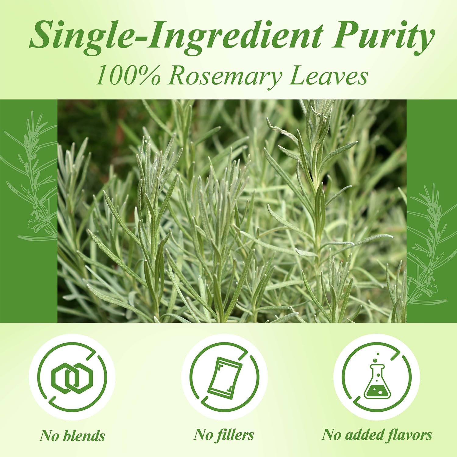 soothing rosemary herbal infusion