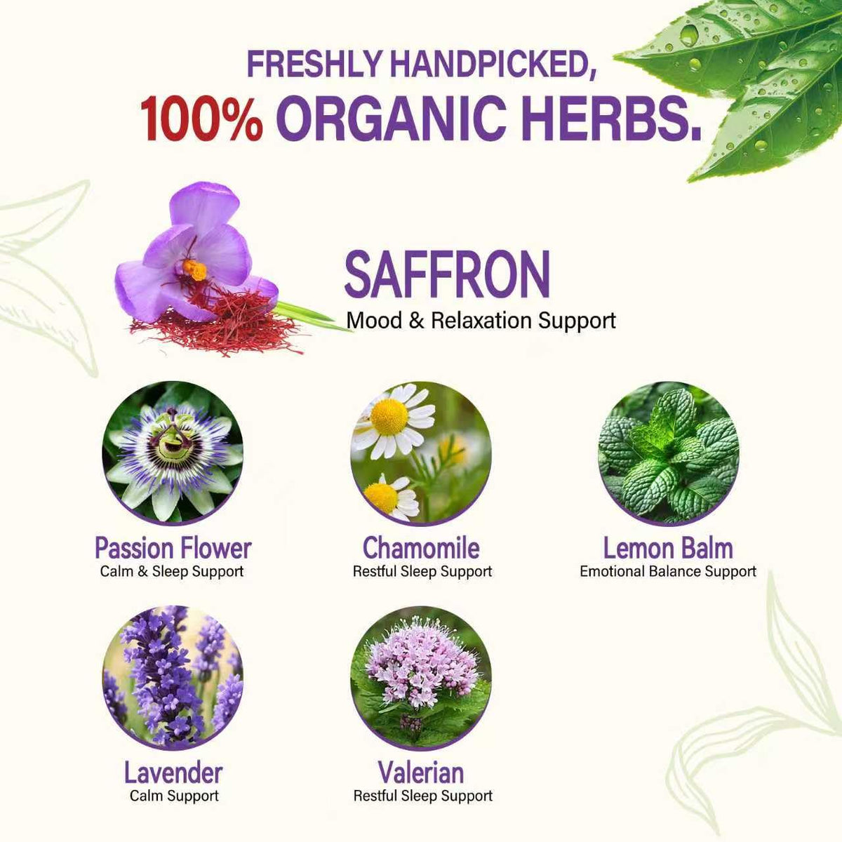 soothing saffron tea blend