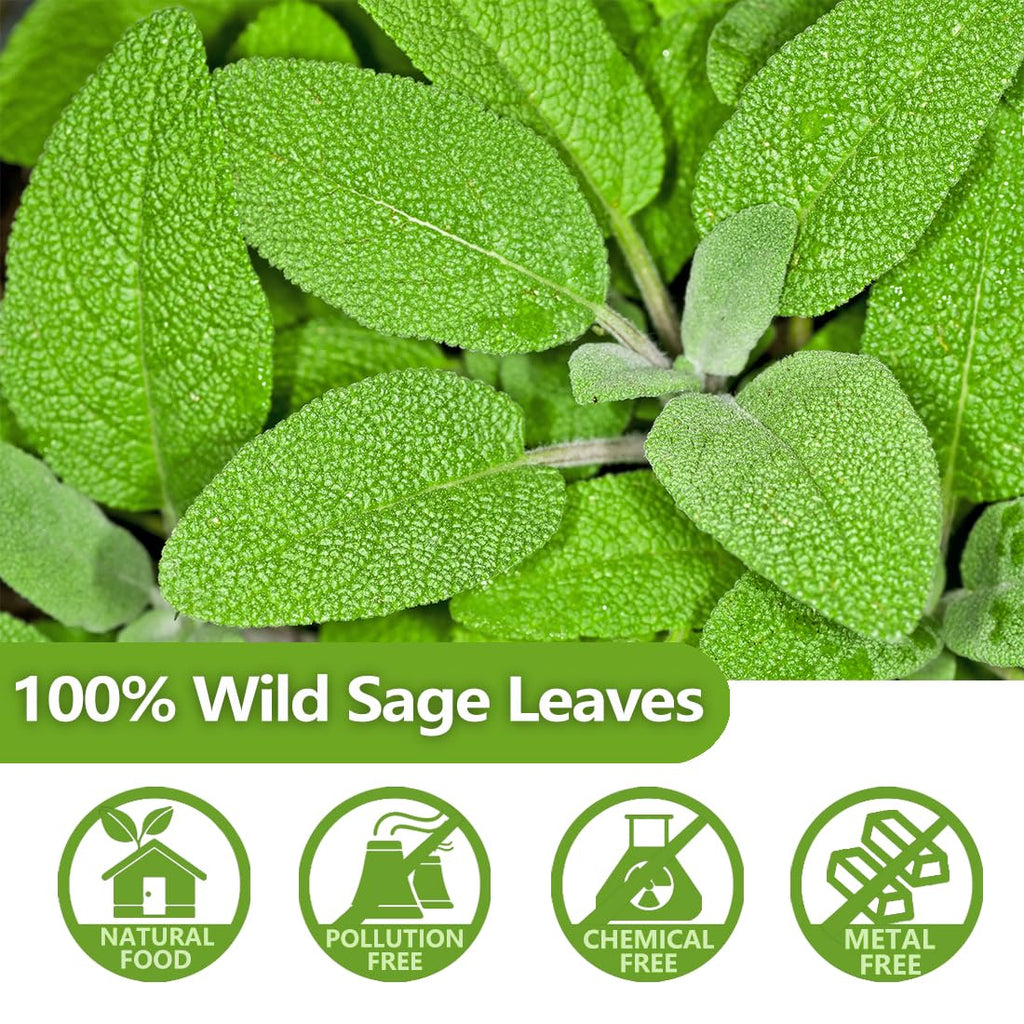 soothing sage herbal infusion