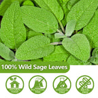 soothing sage herbal infusion