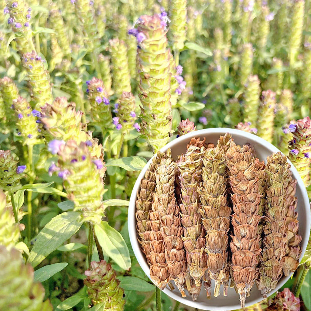 soothing self heal tea blend