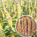 soothing self heal tea blend