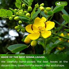 soothing senna tea for wellness