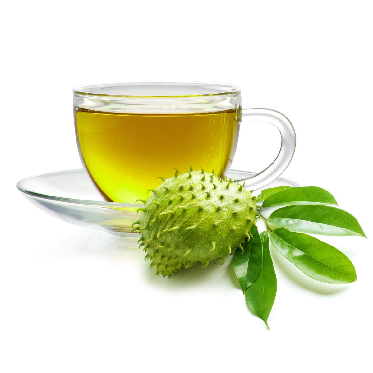 soothing soursop leaves herbal remedy