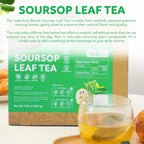 soothing Soursop tea experience