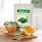 soothing soursop tea for relaxation