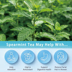 soothing spearmint tea for digestion