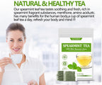 soothing spearmint tea for digestion
