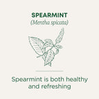 soothing spearmint tea for relaxation
