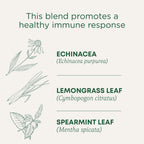 soothing spearmint tea for wellness