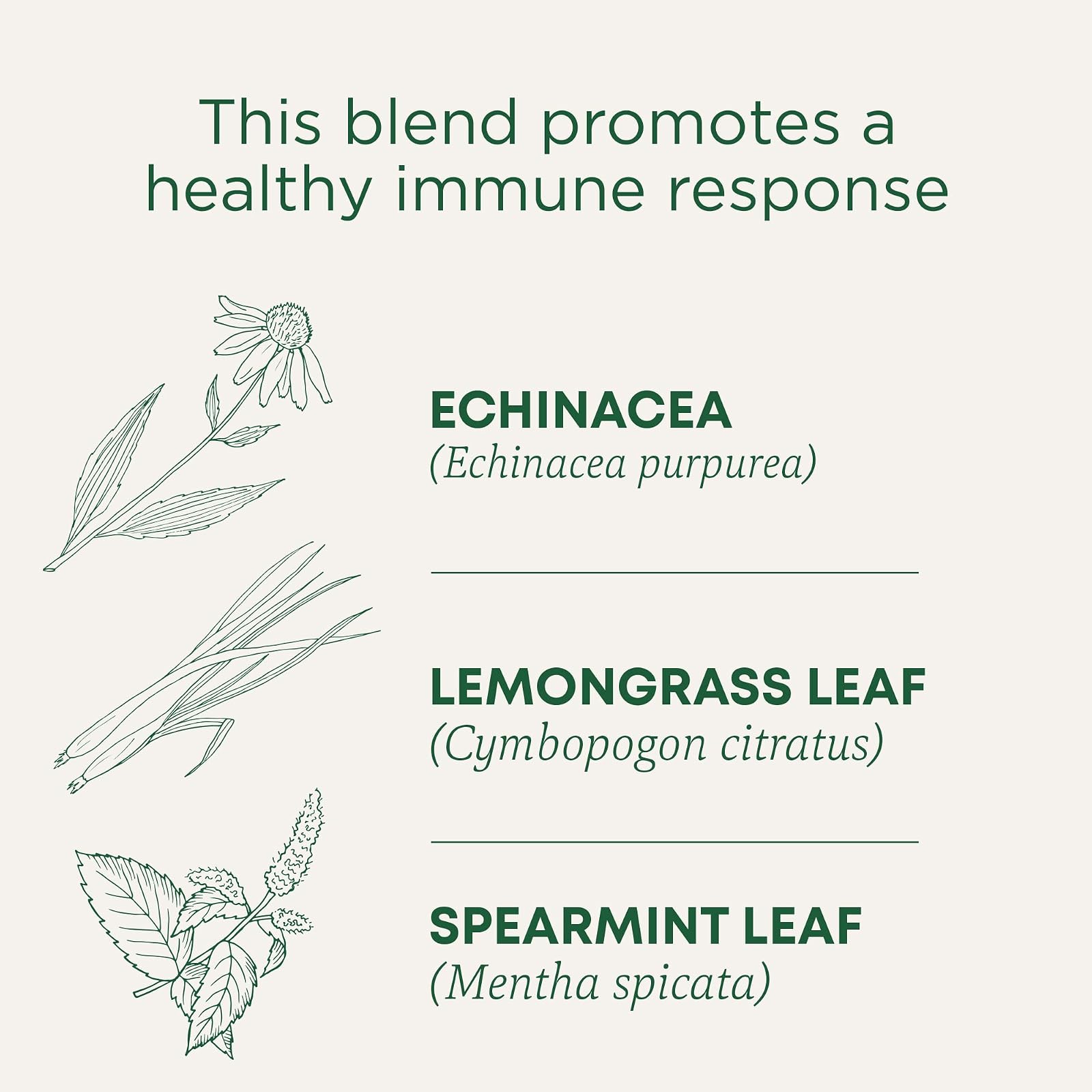 soothing spearmint tea for wellness