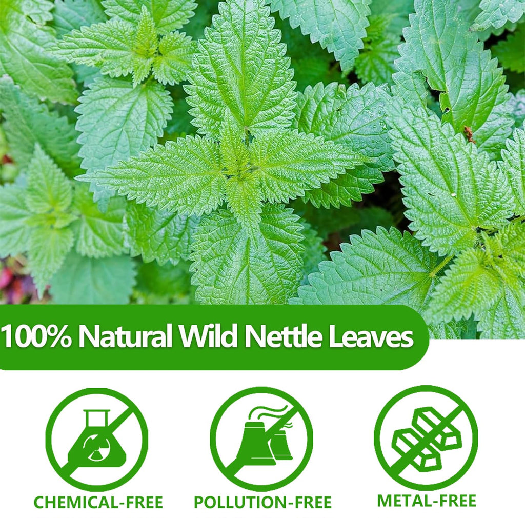 soothing stinging nettle tea bags