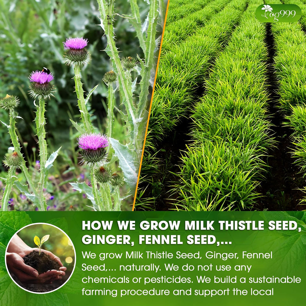 soothing stomach herbal infusion