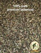 soothing Sutherlandia herbal tea infusion