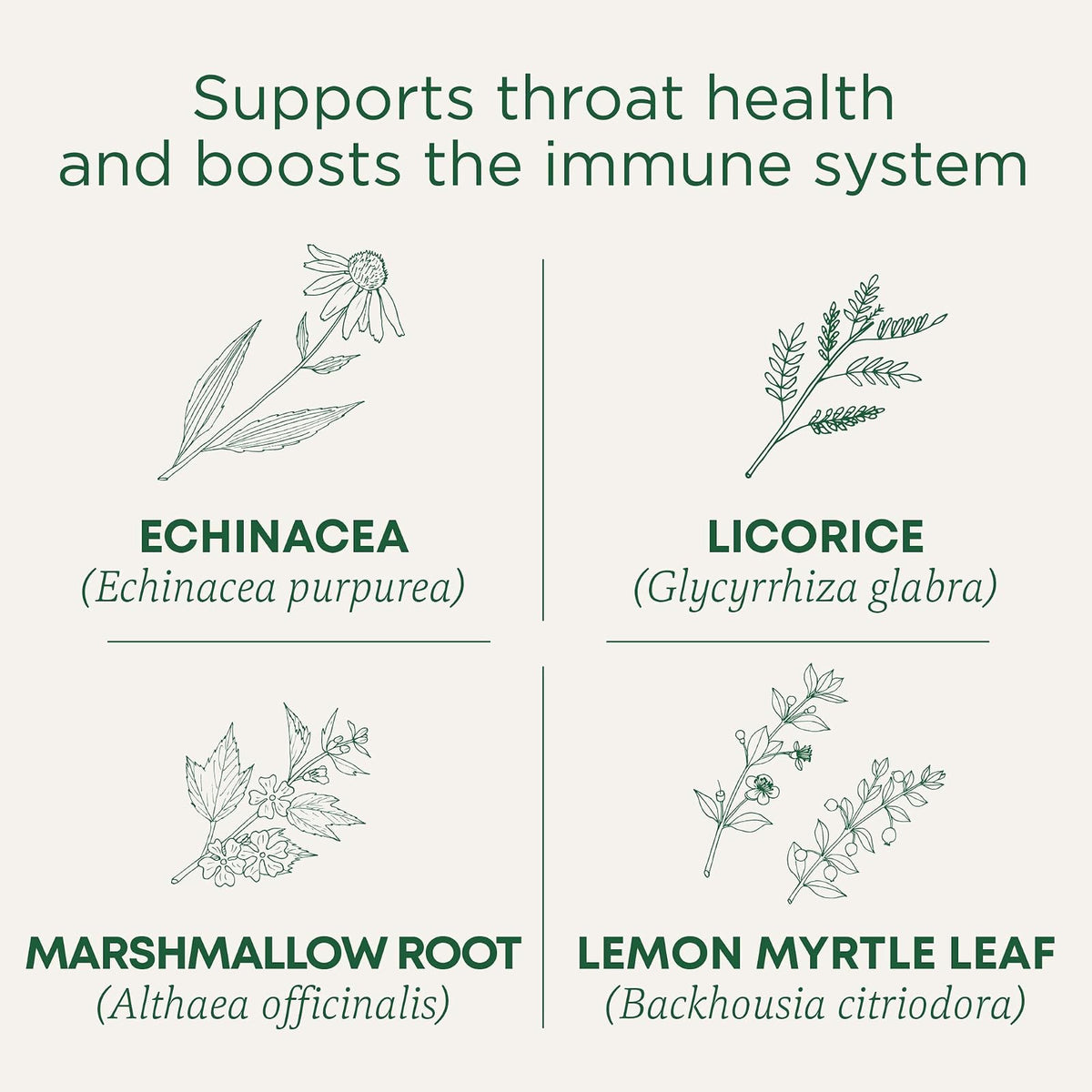 soothing throat coat tea bags