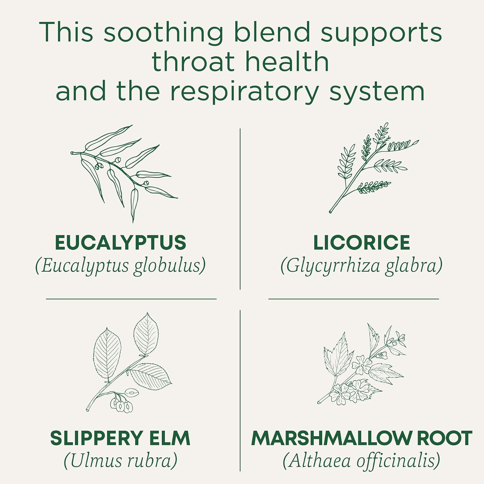 soothing throat coat tea blend
