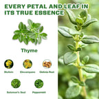 soothing thyme herbal tea blend