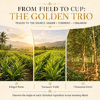 soothing turmeric ginger tea experience