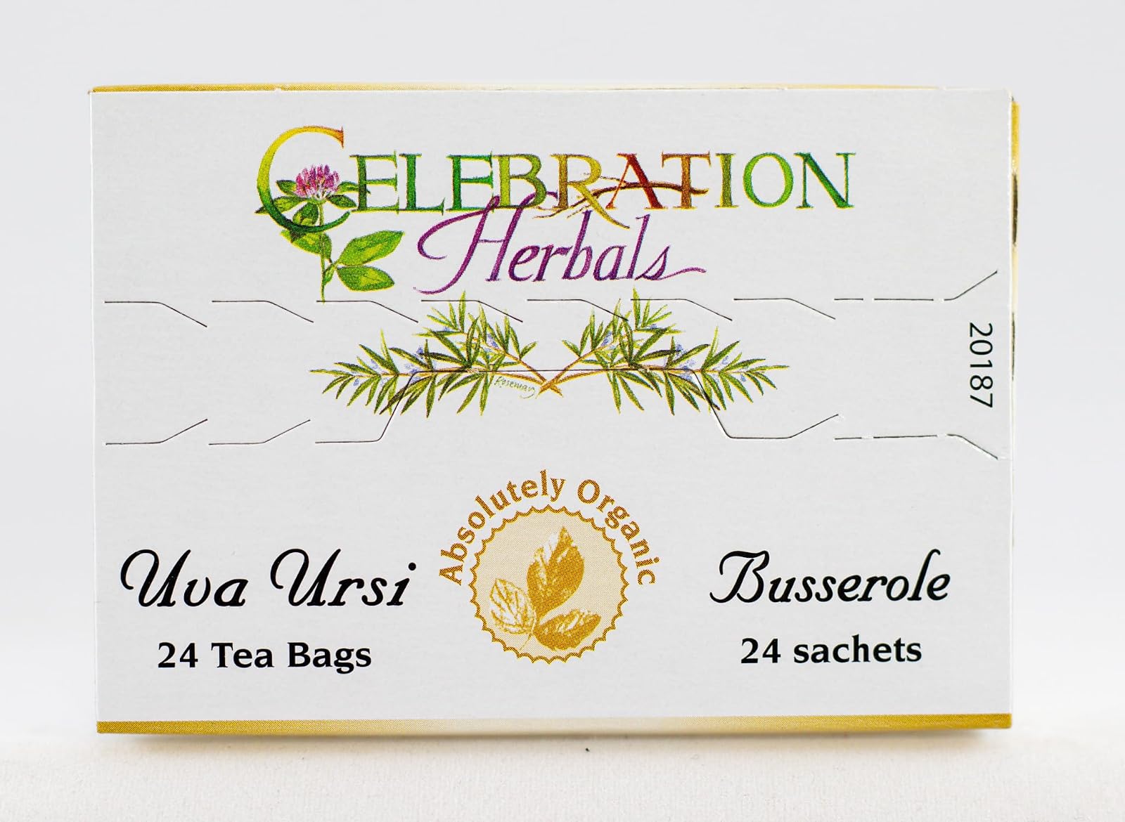 Soothing Uva Ursi tea experience