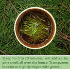 soothing white pine needle infusion